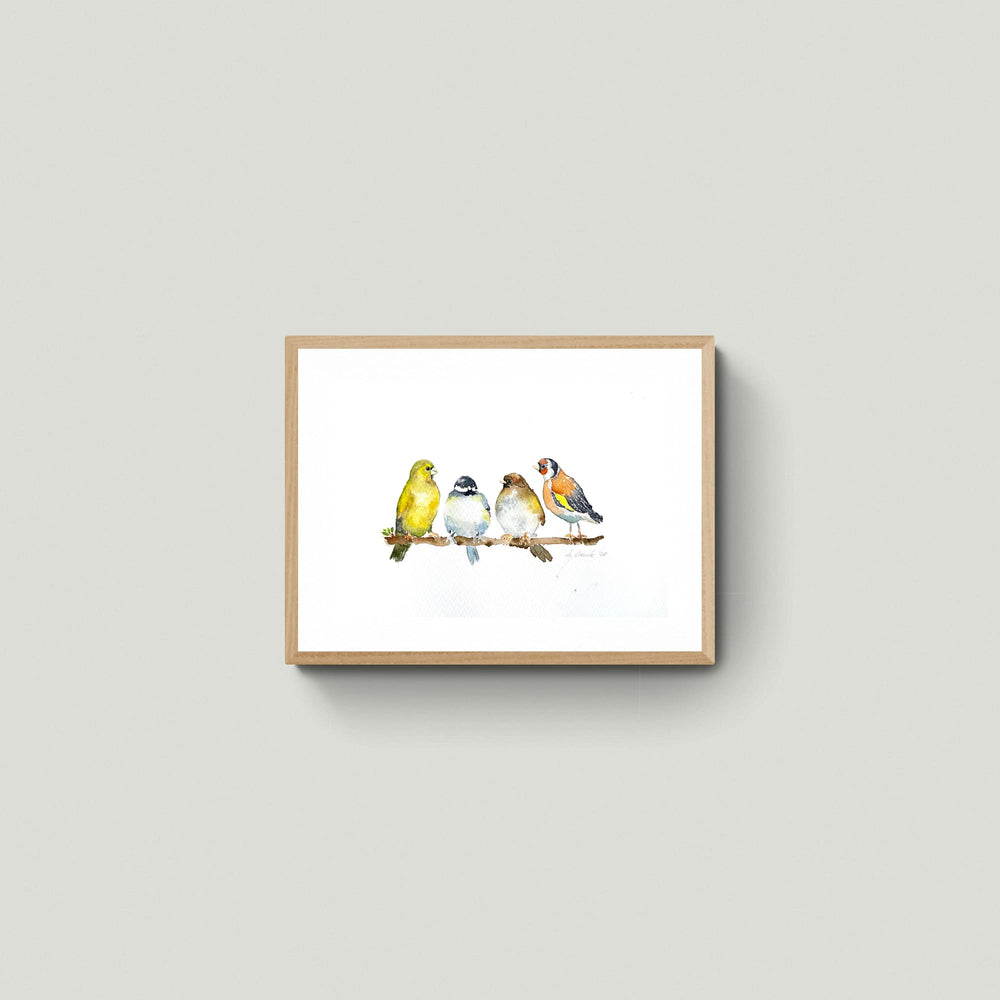 canarios – Jose Cuadros